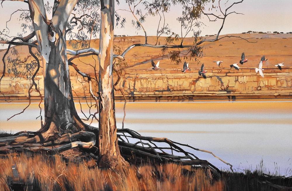 Garry Duncan | River Murray Cliffs | MutualArt