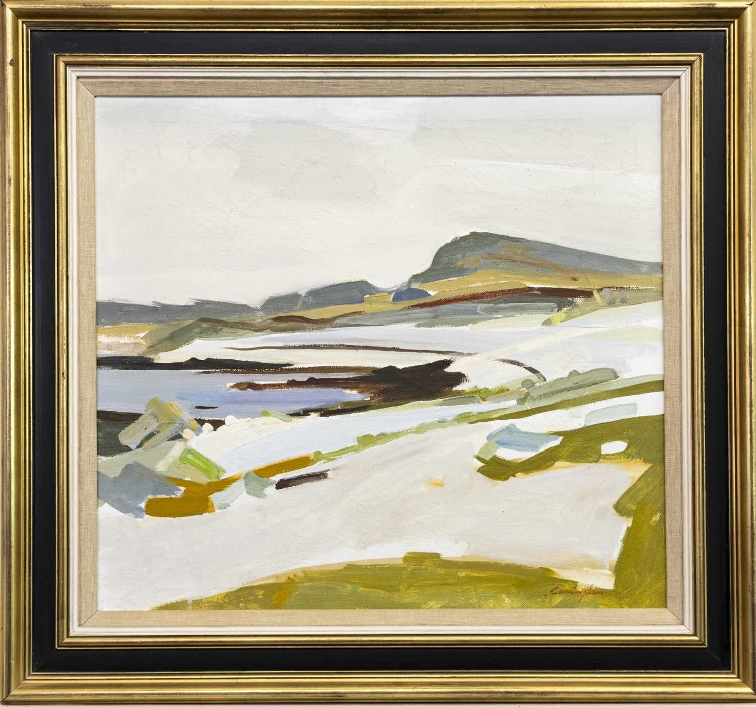 John Cunningham | RAISED BEACHES | MutualArt