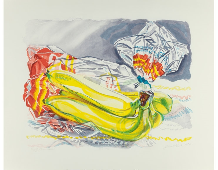 Janet Fish | Bag of Bananas (1996) | MutualArt