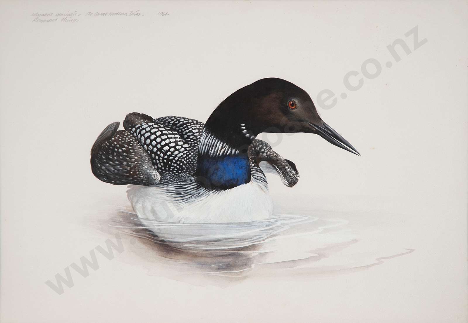 Raymond Harris Ching | The Rifleman Bird | MutualArt