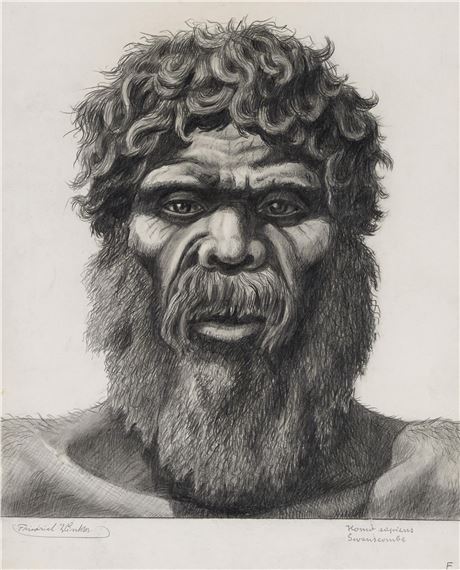 Friedrich Winker | Four anthropological drawings of Homo erectus and ...