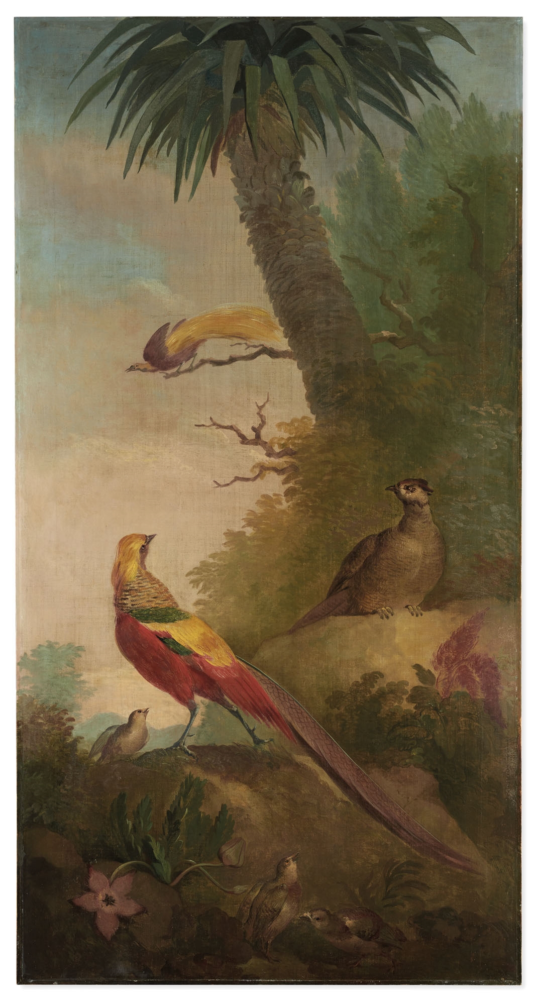Aert Schouman | Oiseaux d'Europe et oiseaux exotiques dans un paysage ...