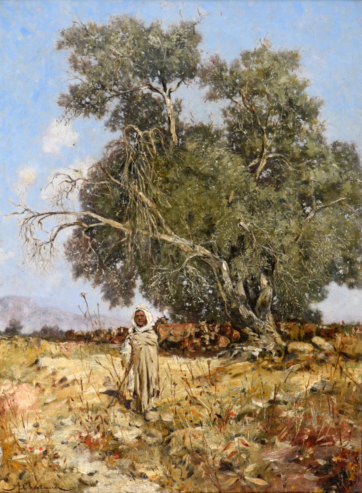 Marc Alfred Chataud | Café sur les hauteurs d’Alger | MutualArt