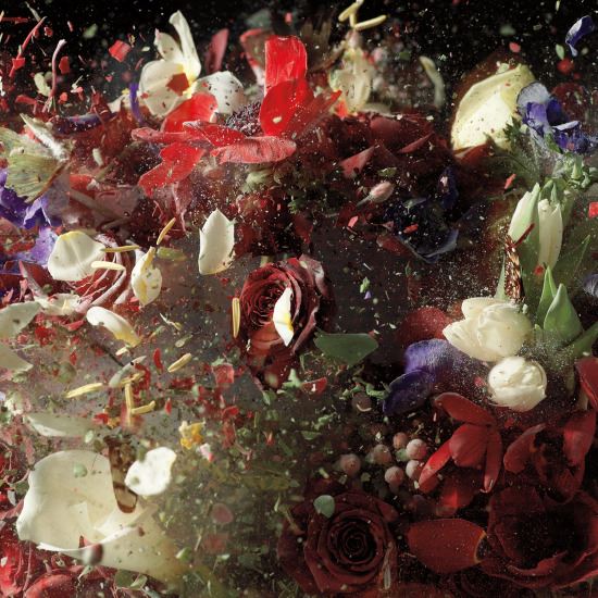 Ori Gersht | Untitled 5 from Blow Up (2007) | MutualArt
