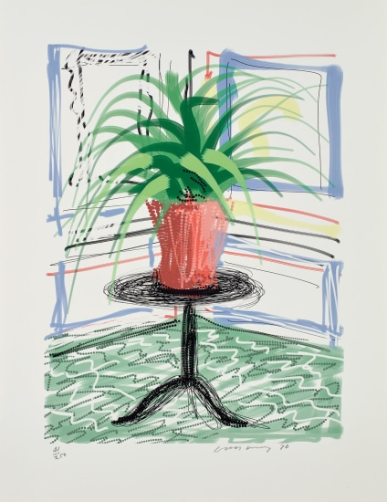David Hockney | Brooke Hopper, from Friends (1976) | MutualArt