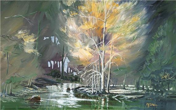 Neil David Stein | Biography