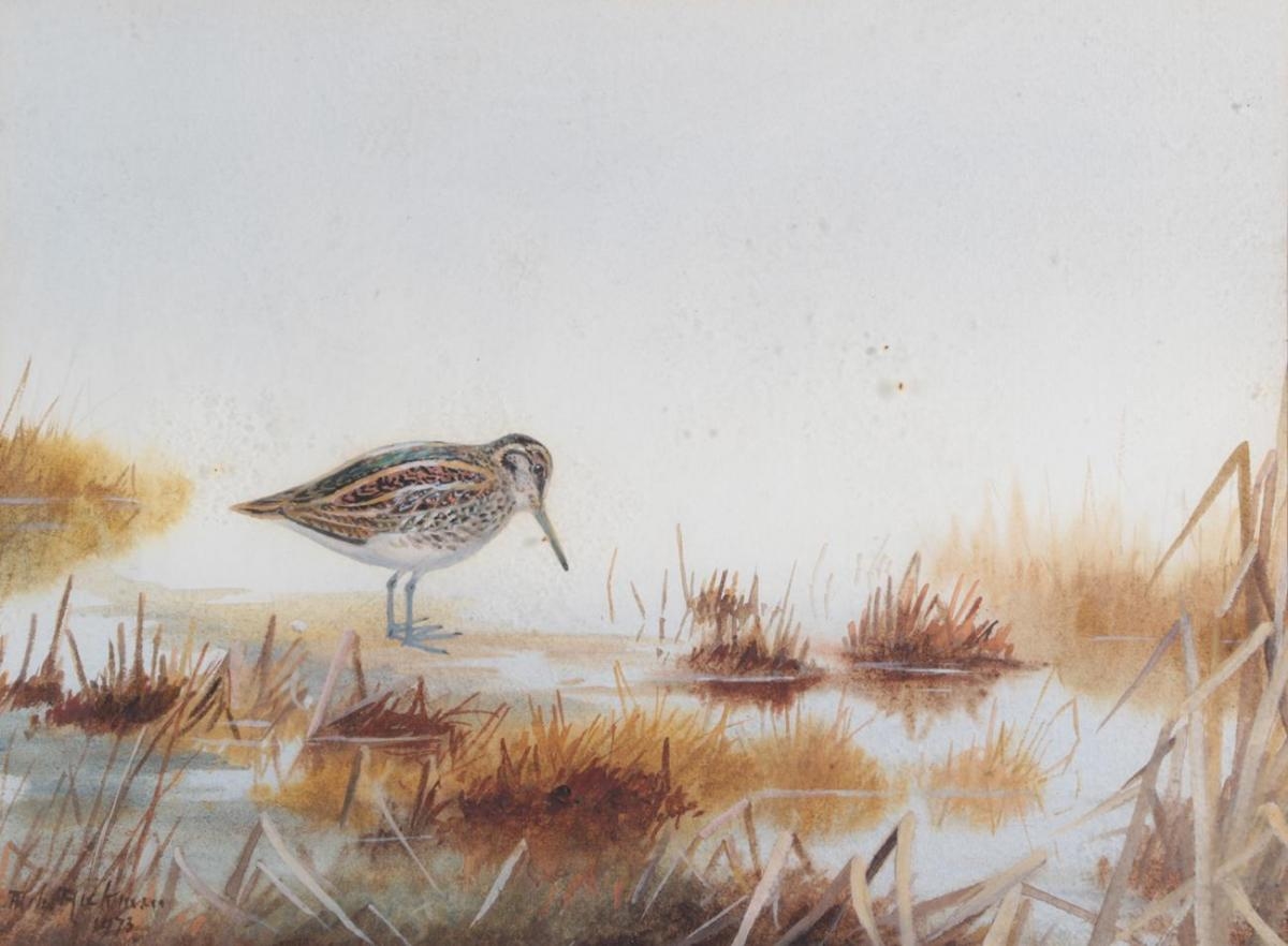 Philip Rickman | Jack Snipe (1973) | MutualArt