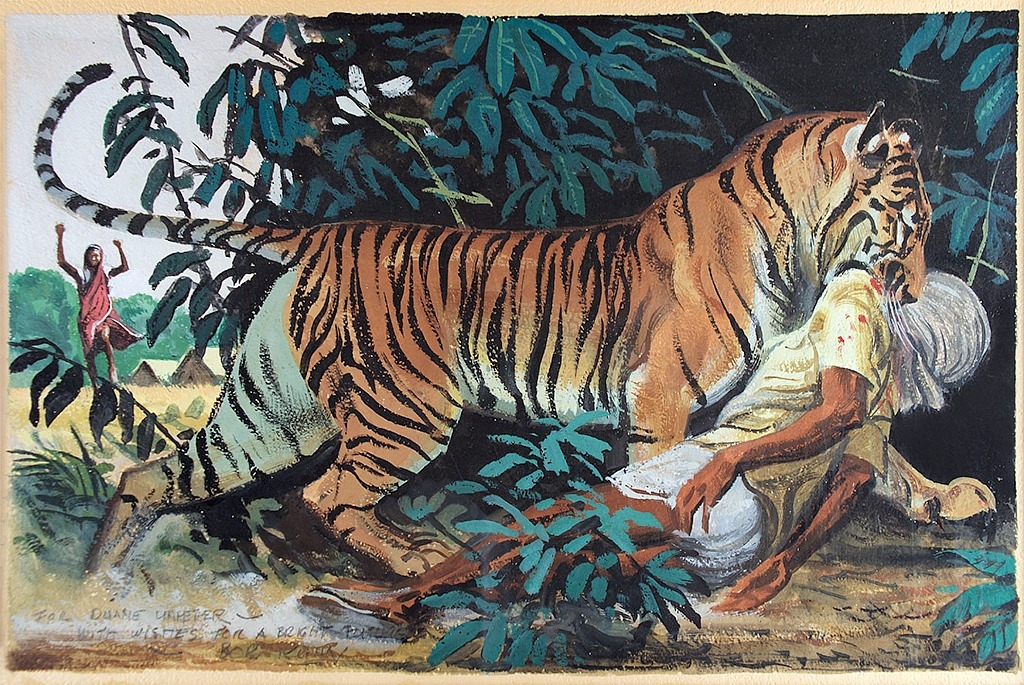Tiger Attacking Man On Elephant