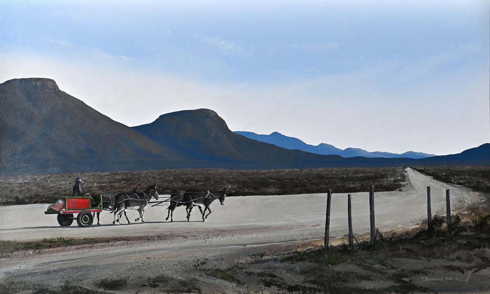 Peter Bonney | Towards Colesburg (2008) | MutualArt