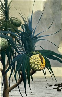 Isson Tanaka | 83 Artworks at Auction | MutualArt