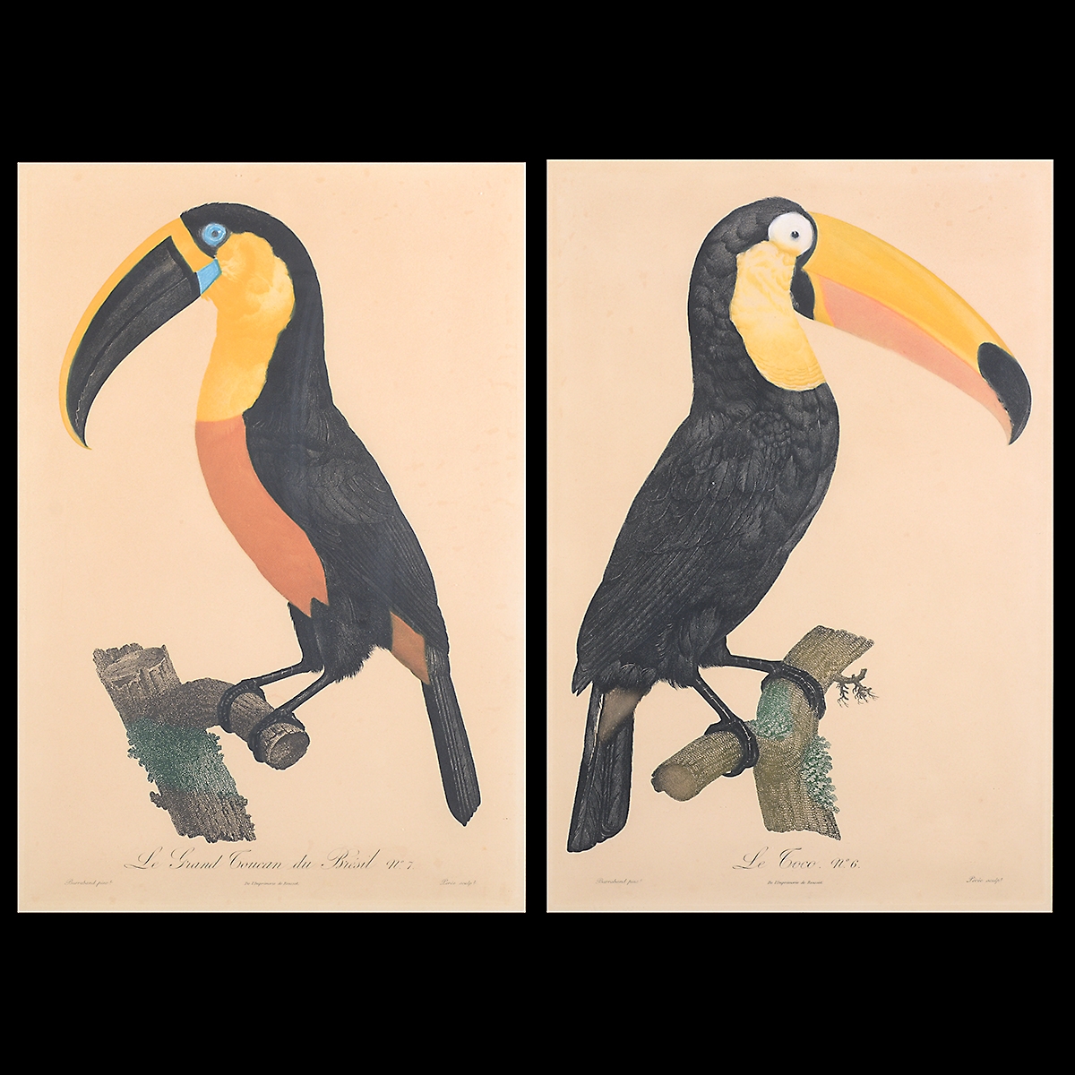 Jacques Barraband | Two works: Le Grand Toucan du Bresil No. 7 and Le ...