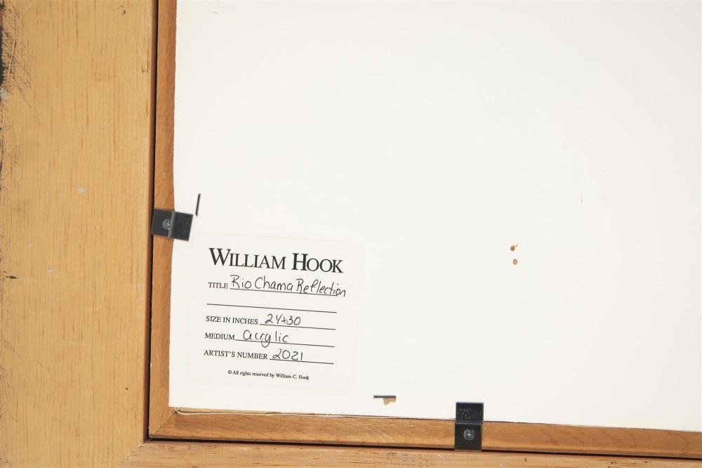 William Cather Hook | Rio Chama Reflection | MutualArt