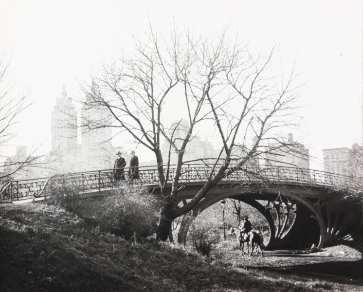 Drahomir Joseph Ruzicka | Bridge in Central Park | MutualArt