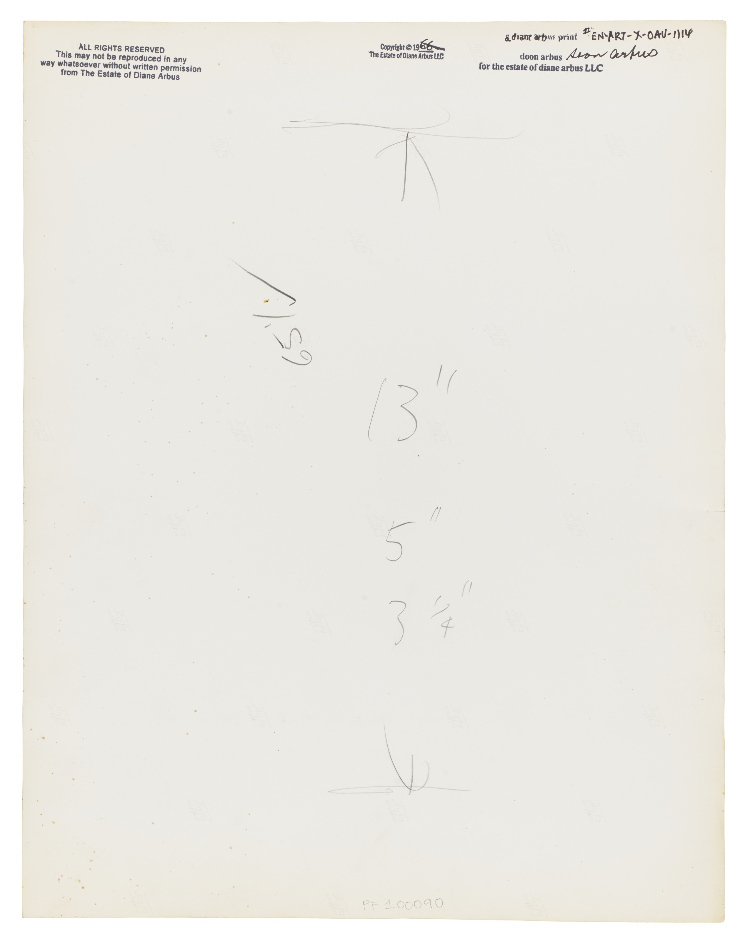 Diane Arbus | Patty and Claus Oldenburg, N.Y.C. (1966) | MutualArt