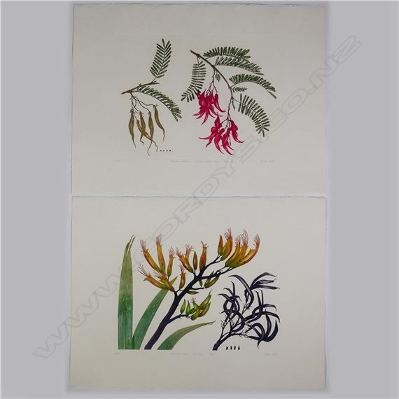 Bryan Poole | Two Works: Phormium tenax - Harekeke - Flax and Sophora ...