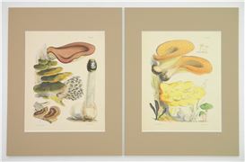 Ed Tussey | 16 Artworks at Auction | MutualArt