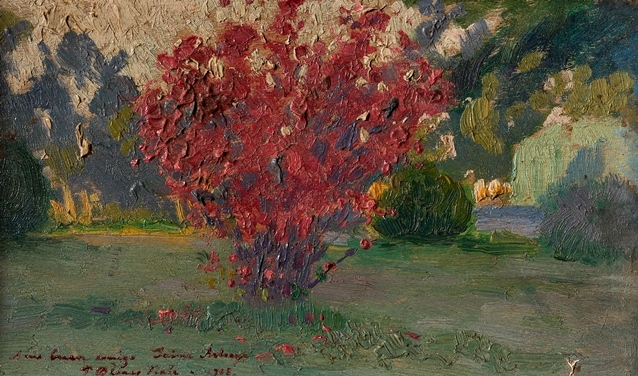 Pedro Blanes Viale | Ciruelo en flor (1908) | MutualArt