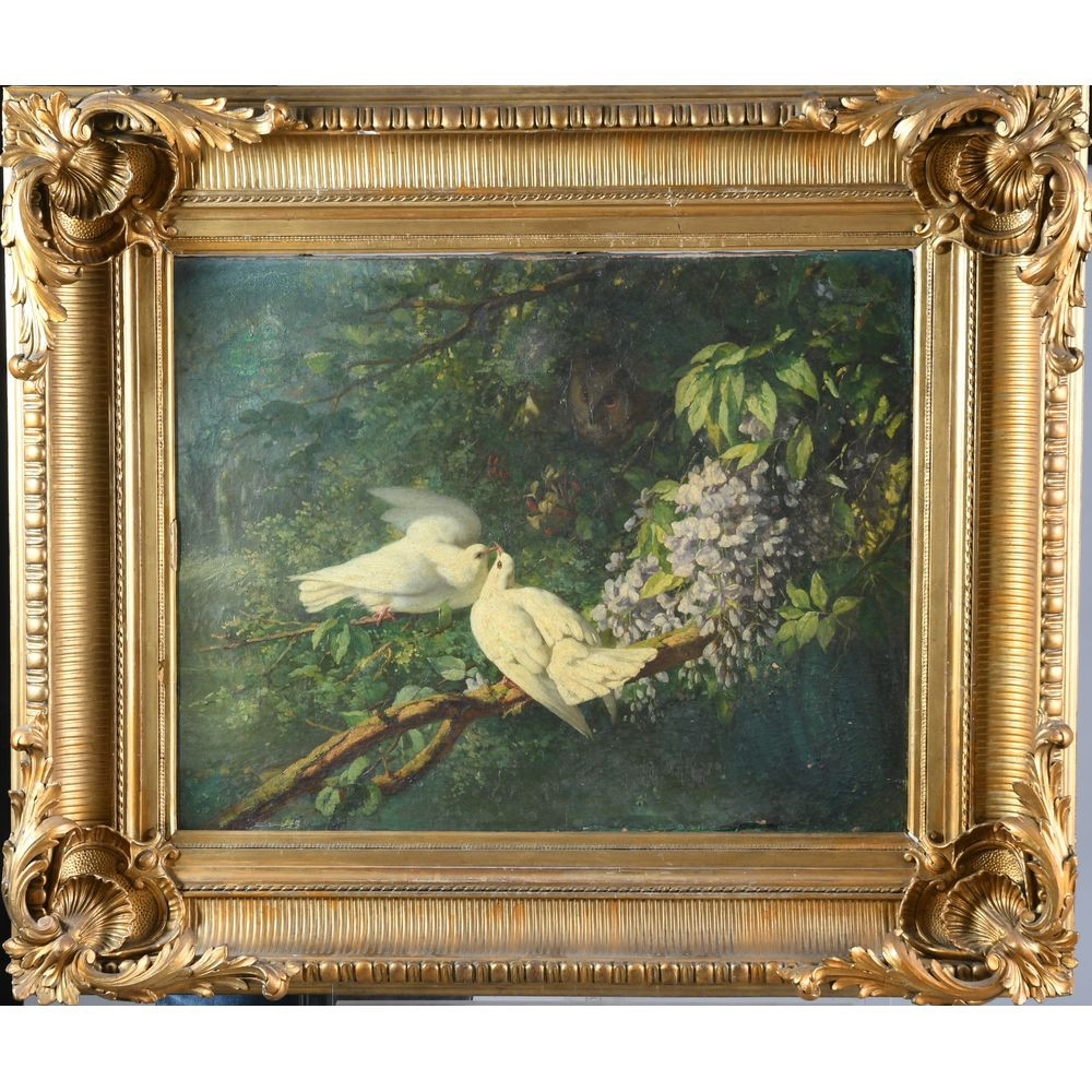 French School, 19th Century | Couple de colombes près d’une chouette ...