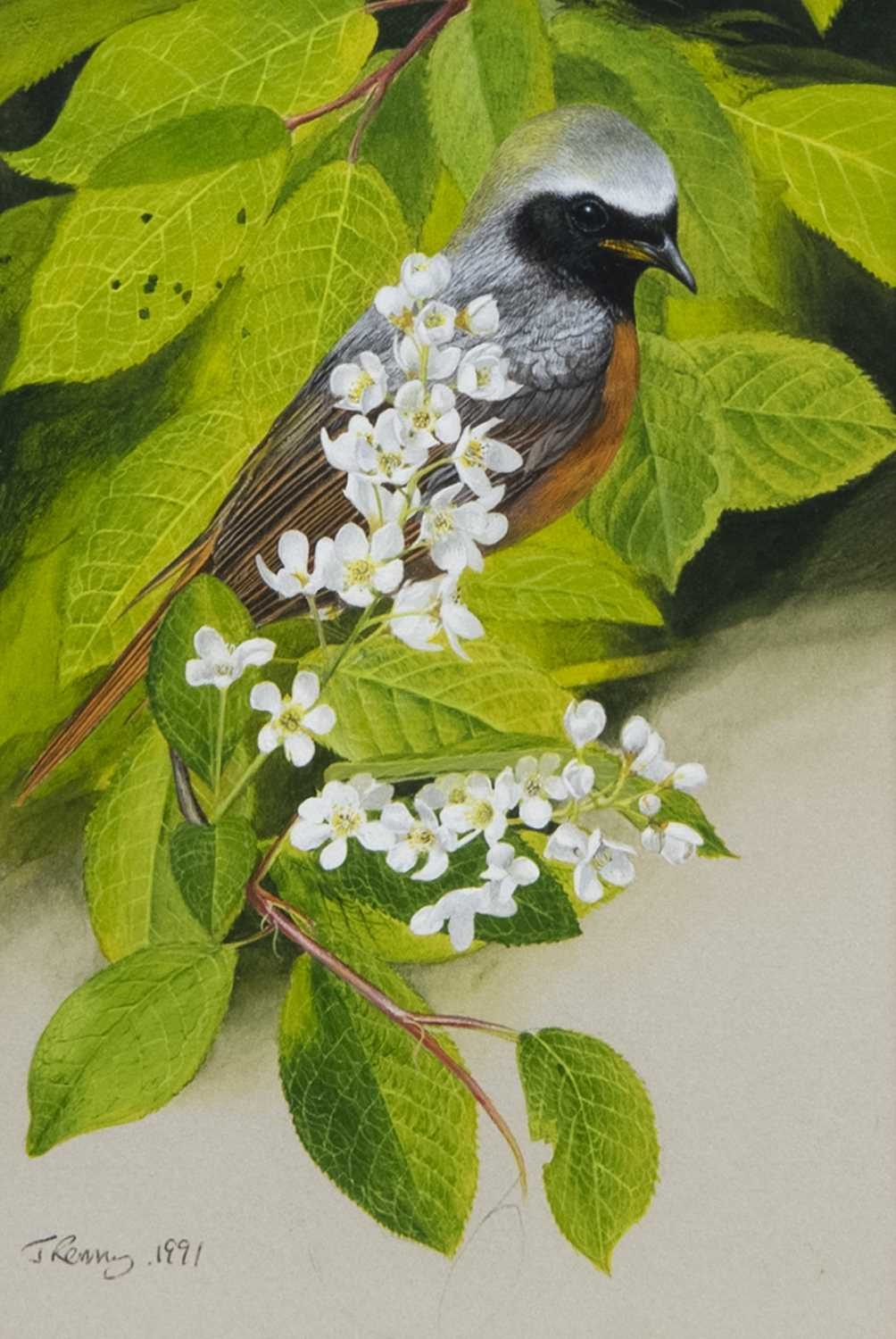 James Renny | RED START (1991) | MutualArt