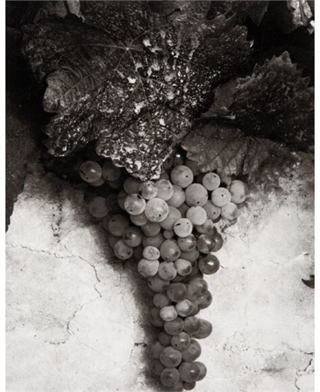 Paul Strand | Paul Strand: A Retrospective Monograph, The Years 1915 ...