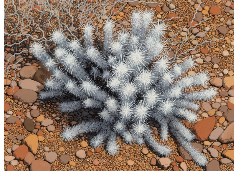 William Henry Martin | Cactus (1971) | MutualArt