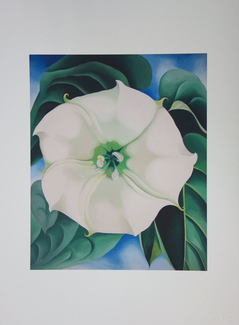 Georgia O'Keeffe | Jimson Weed, White Flower No. 1 | MutualArt