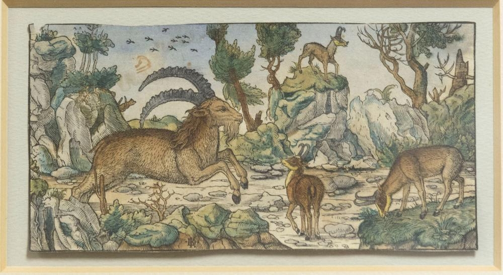David Kandel | Fauna in Rocky Setting | MutualArt