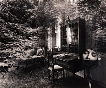 Uelsmann Jerry | Untitled (Floating Tree) (1969) | MutualArt