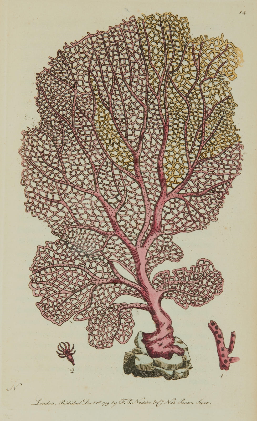 Frederick Polydore Nodder | The Naturalist's Miscellany: or Coloured ...