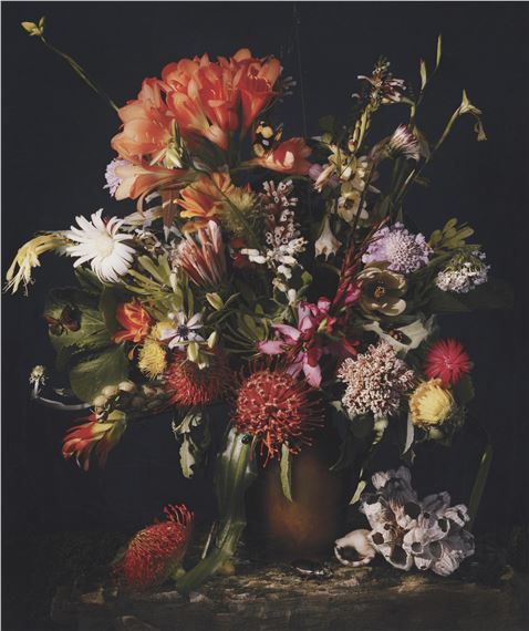 Andrew Putter | Hottentots Holland: Flora Capensis 2. (2008 - 2009 ...