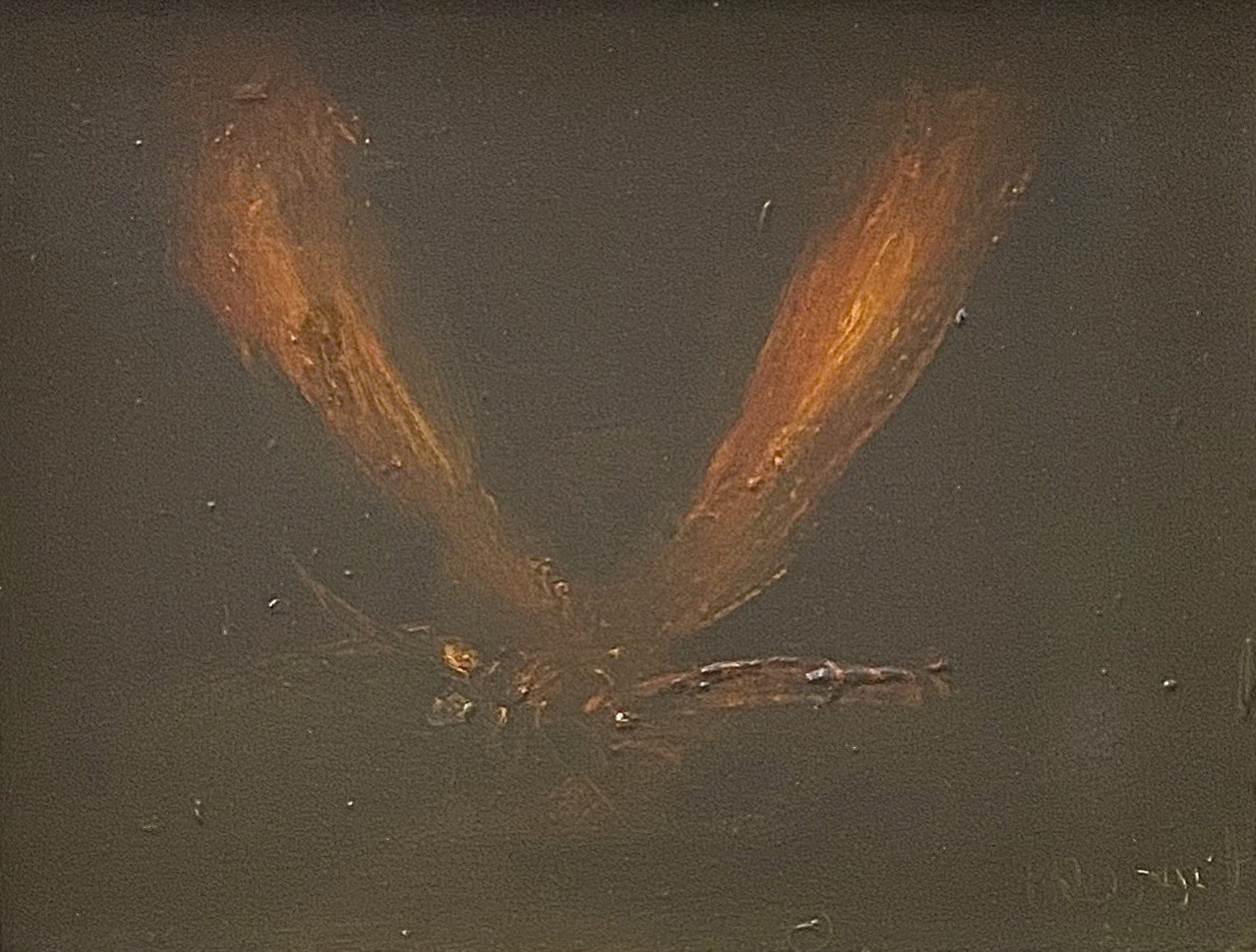 Kevin Charles Hart | Dragonfly | MutualArt