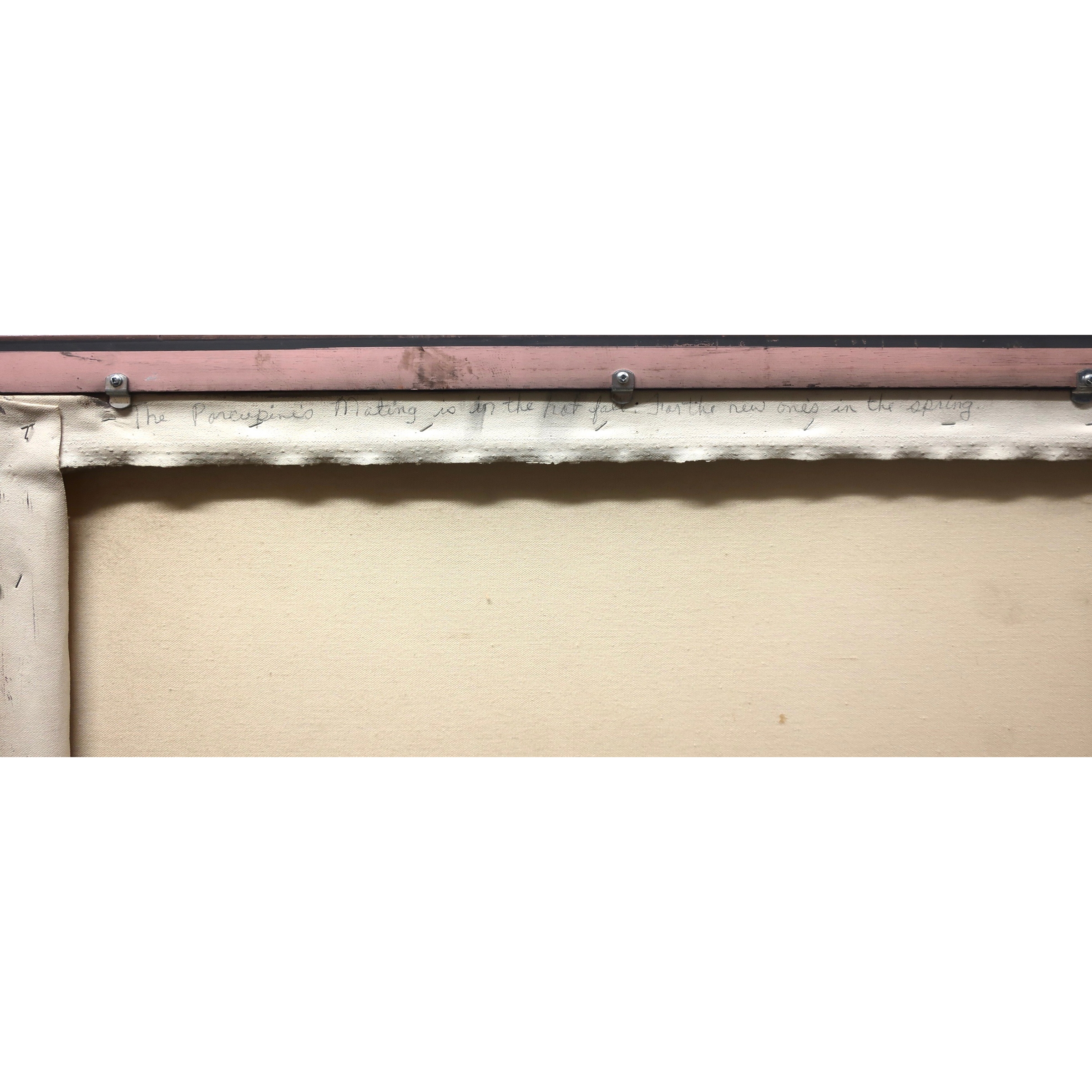 Randy Trudeau | THE PORCUPINE'S MATING IS IN THE LATE FALL, FOR THE NEW ...