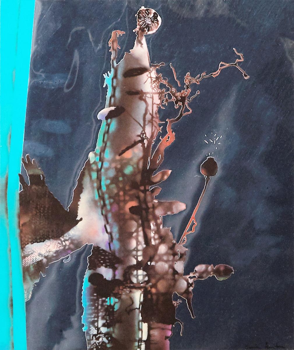 Simon Periton | Neighbourhood Witch (2008) | MutualArt