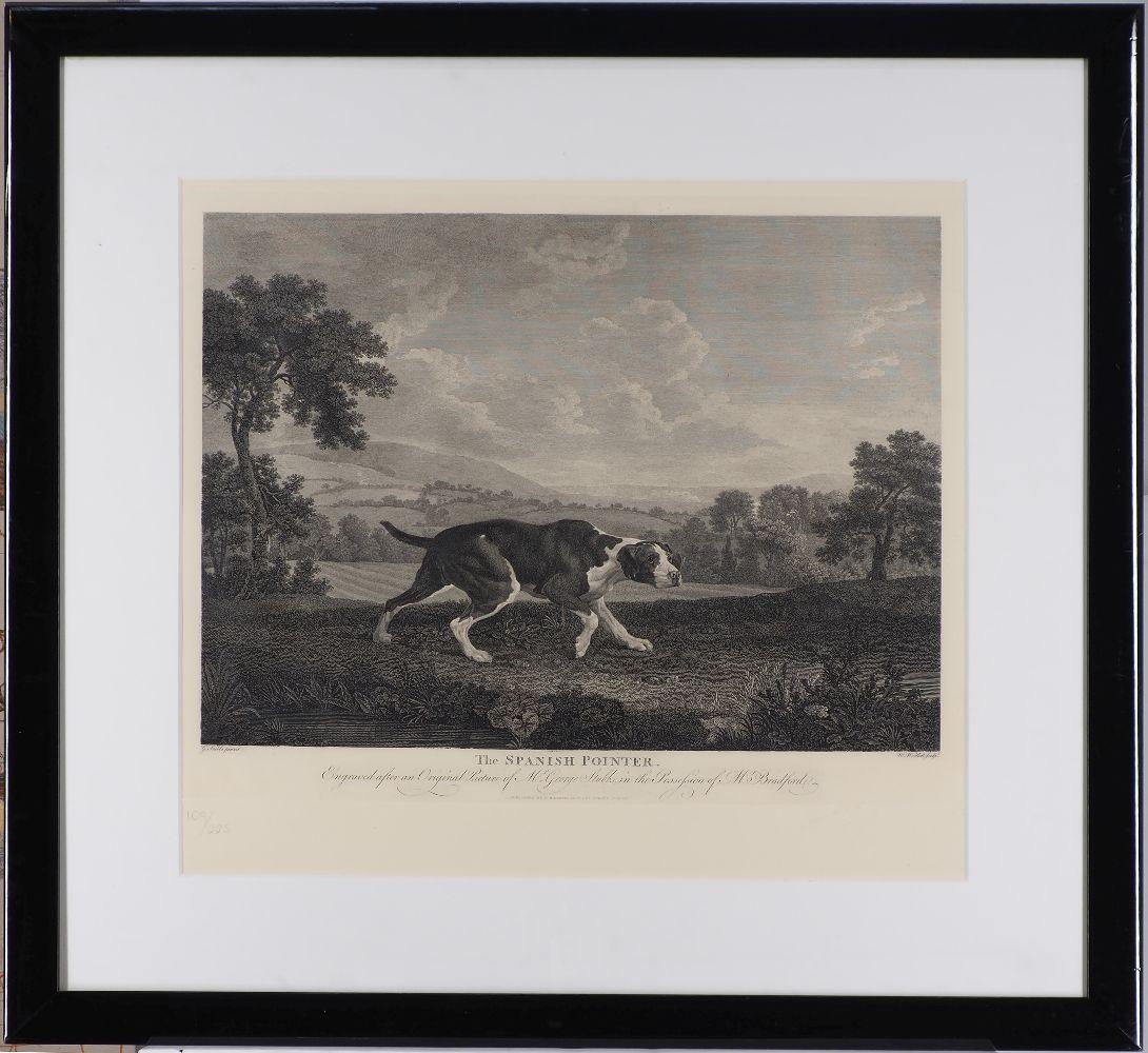 William Woollett | The Spanish Pointer | MutualArt