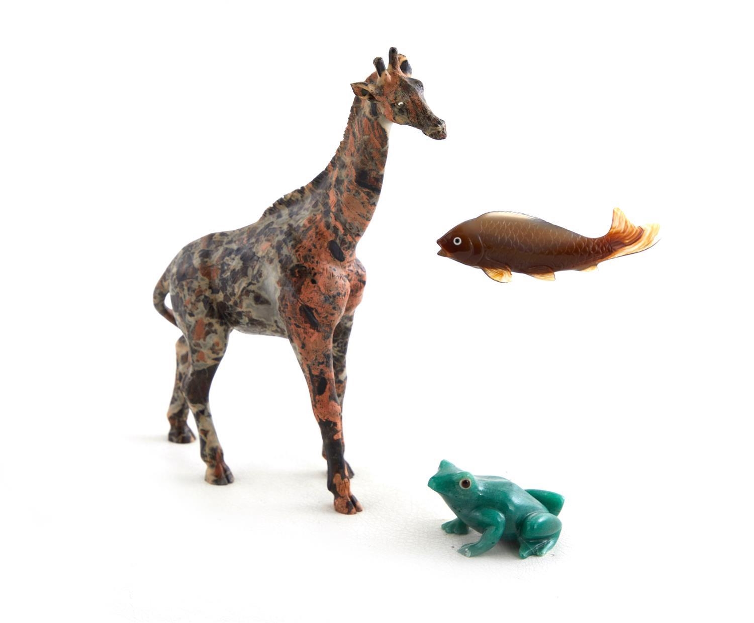 Georg O. Wild | giraffe, frog and koi | MutualArt