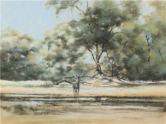 Kim Donaldson | Waterbuck | MutualArt