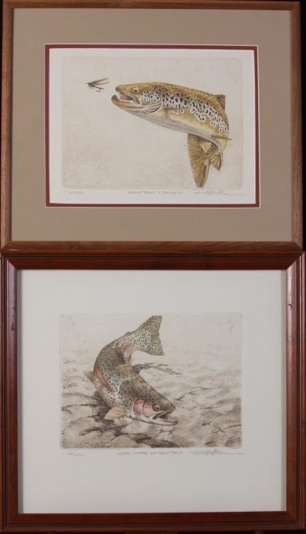 Mike Stidham | Two works; Brown Trout and Spruce Fly;Clear Water ...