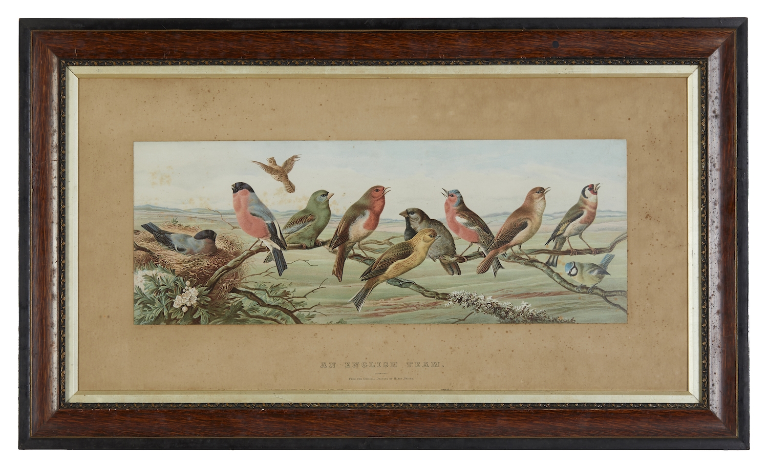 Harry Bright | 'AN ENGLISH TEAM' & 'AN AUSTRALIAN ELEVEN' (Circa 1880 ...