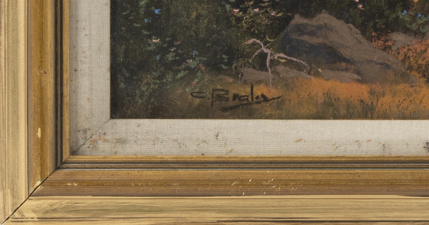 Clarence E. Braley | Sunset landscape. | MutualArt