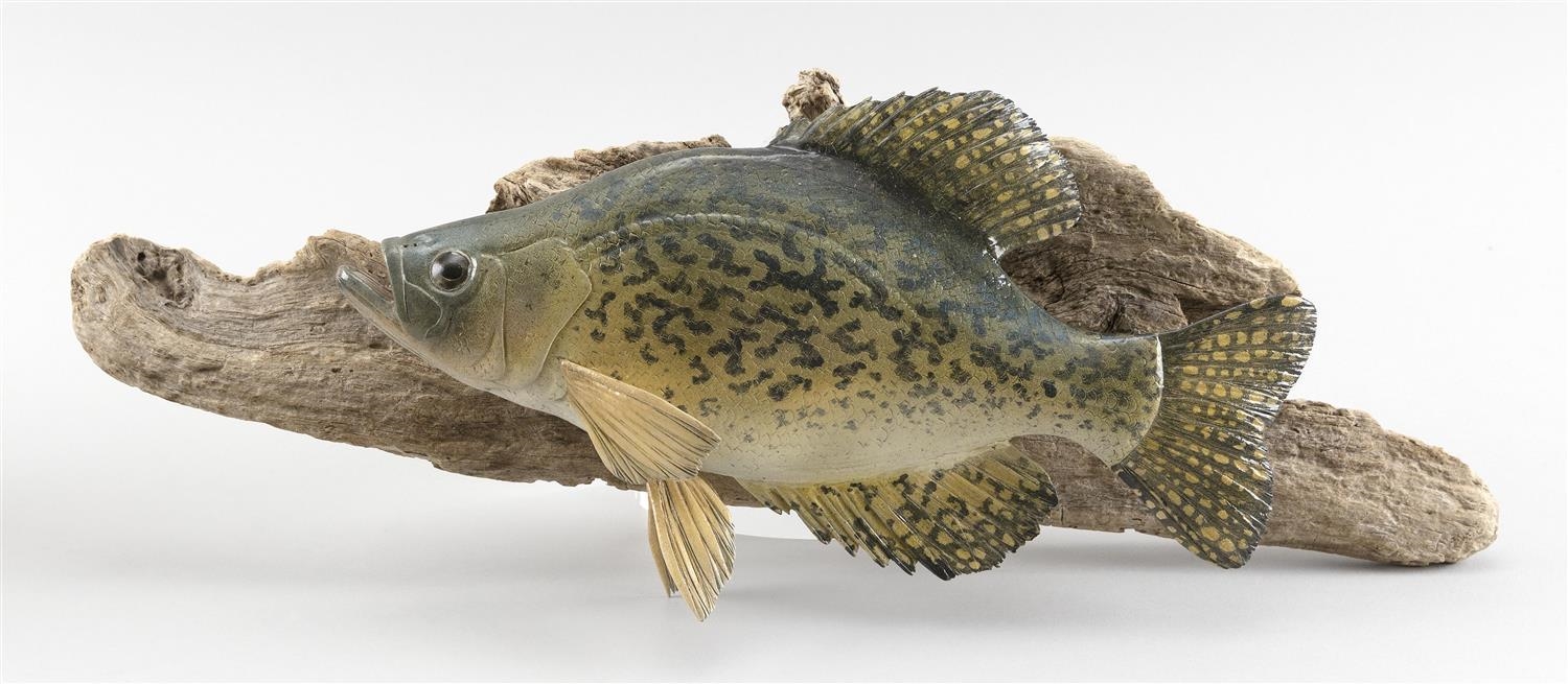 Frank J. Adamo | FRANK ADAMO CARVING OF A RIGHT WHALE | MutualArt