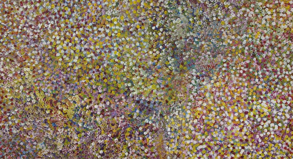 Polly Ngale | Bush Plum Dreaming | MutualArt