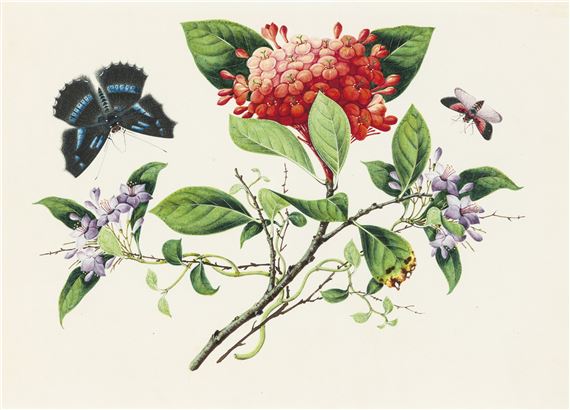 Tingqua | Six scenes taken in Canton: Lamqua's studio; Howqua's garden ...