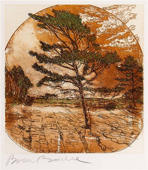 Brian Bourke | SCOTSPINE ON LIMESTONE | MutualArt