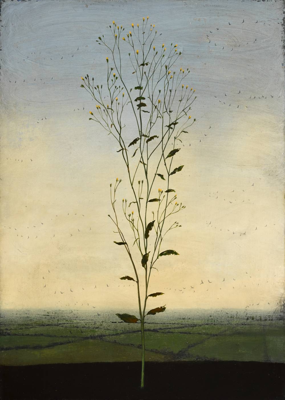 Michael Canning | EXPOSITION (2007) | MutualArt