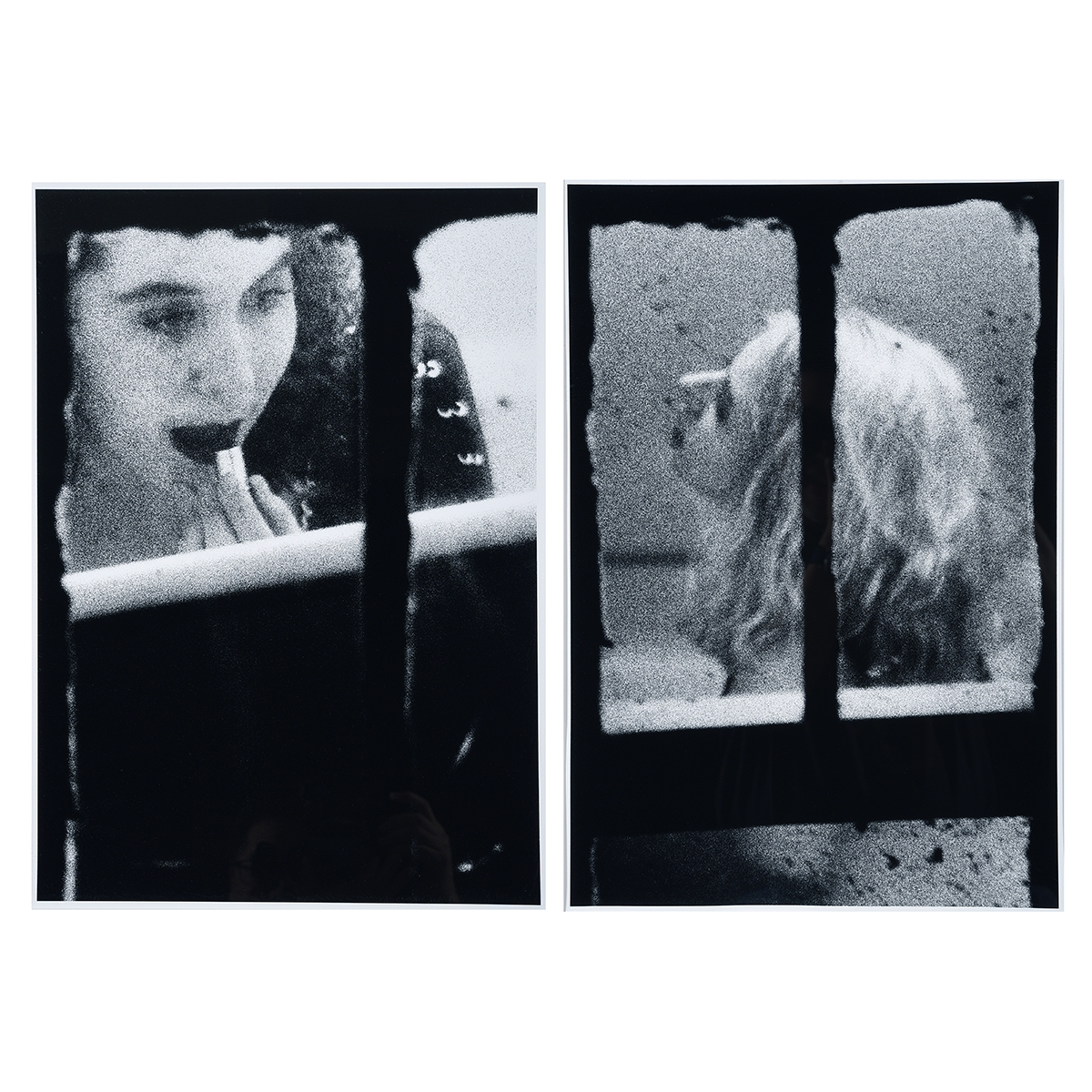 Merry Alpern | Two works: Window series 3 and Window series 26 | MutualArt