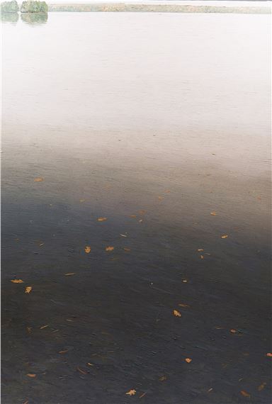 Peter Rotter | BIRCH GROVE | MutualArt