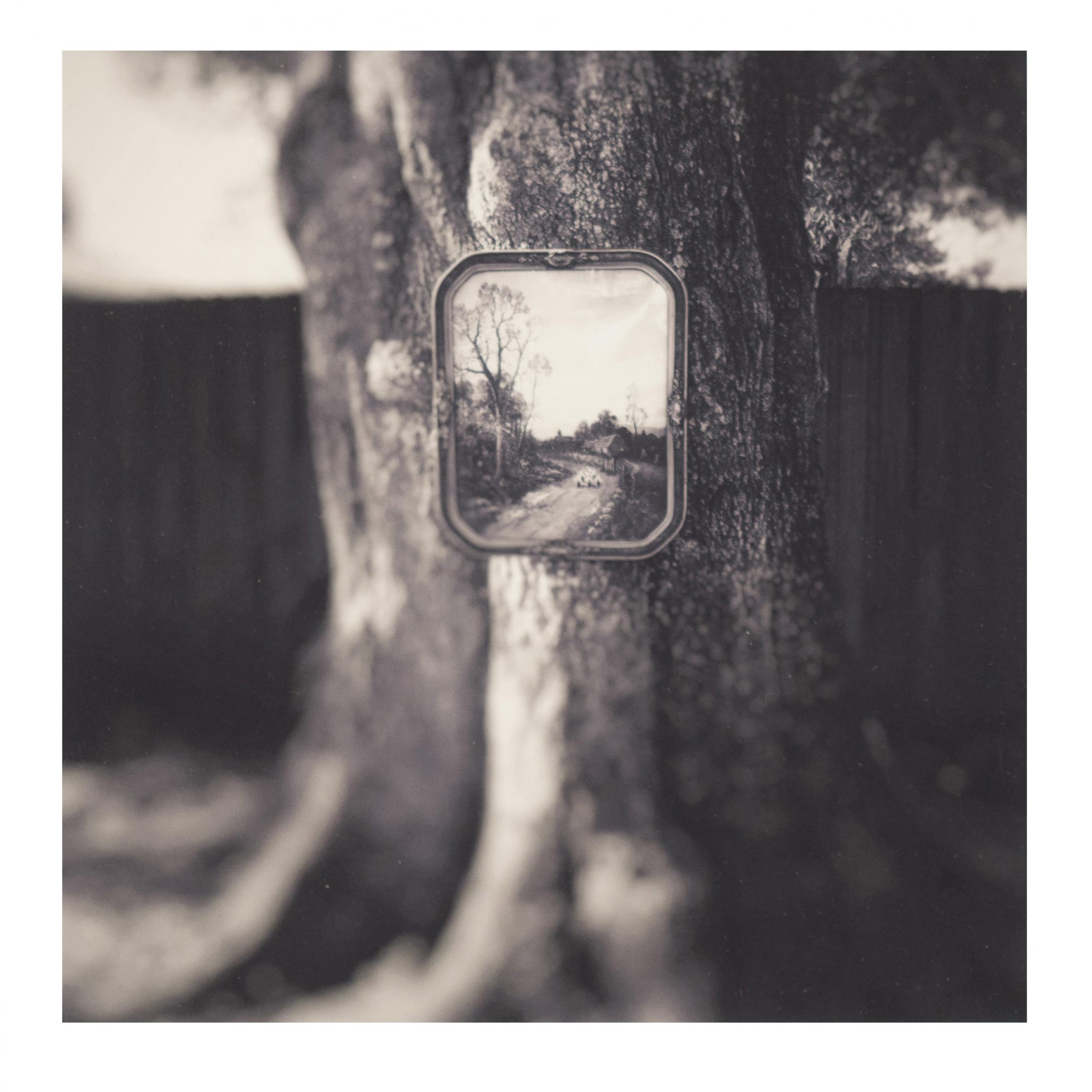 Rebecca Sexton Larson | Every Picture Tells a Story (2019) | MutualArt