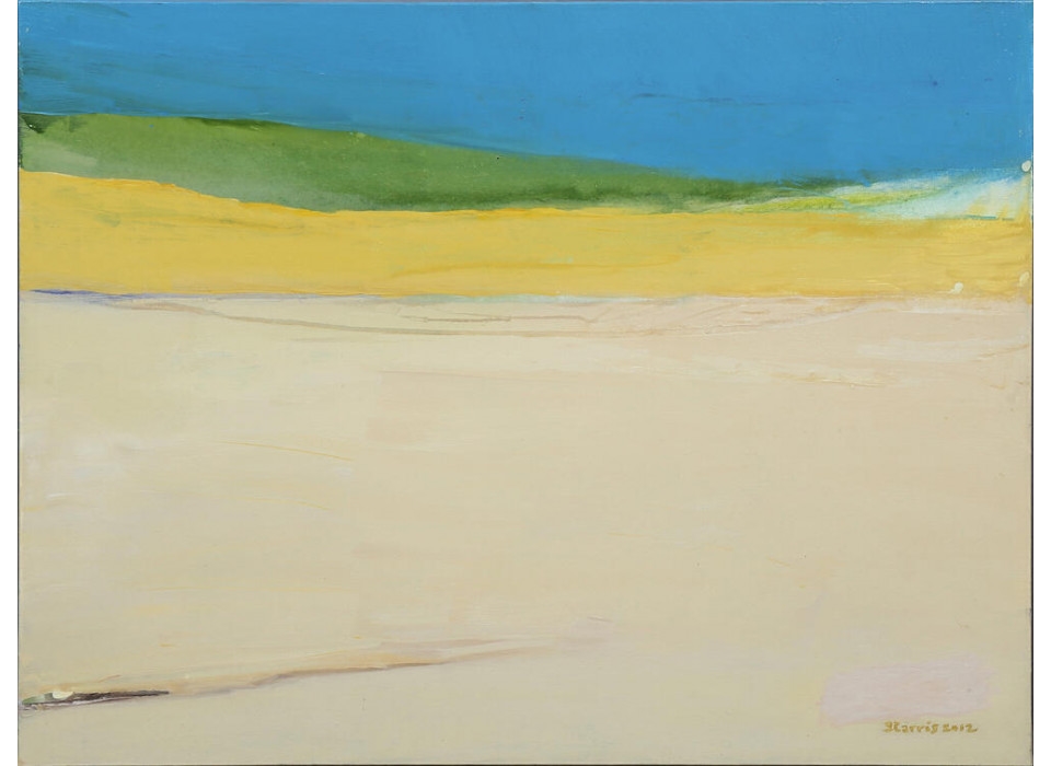 Nancy Harris | Beachscape (2012) | MutualArt