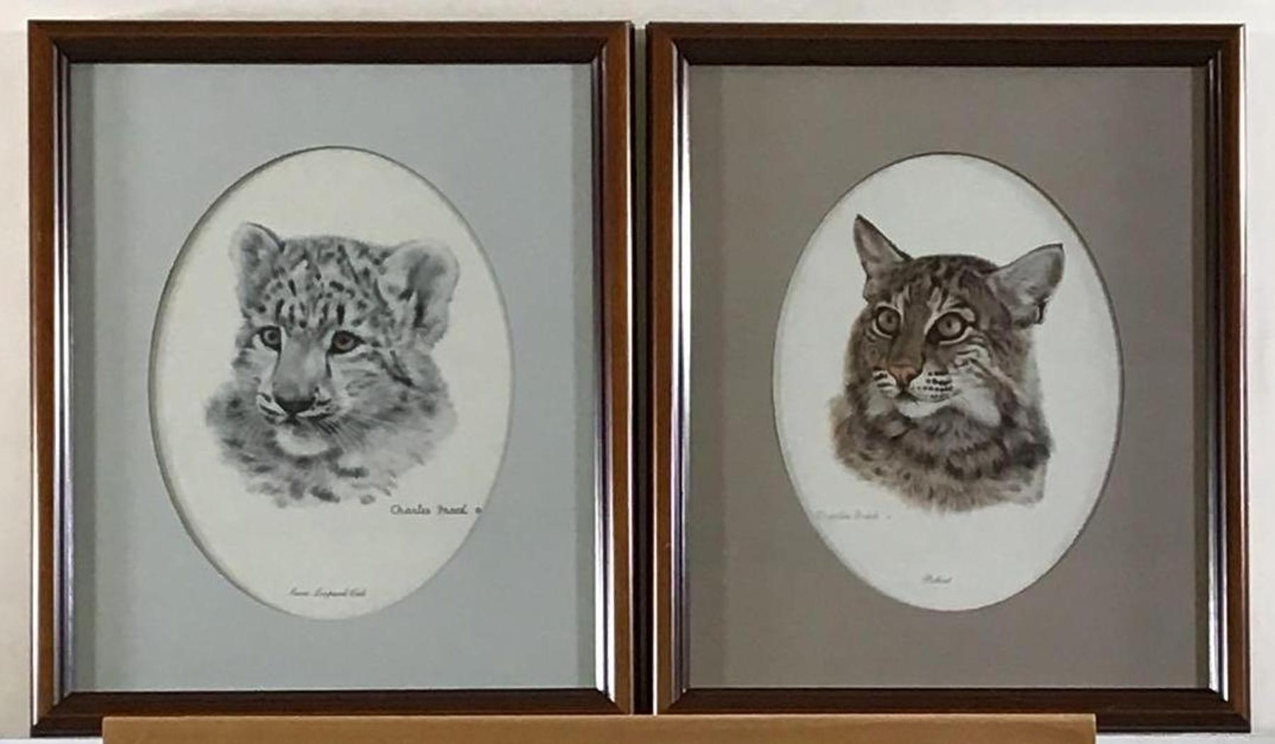 Charles Frace | Two Works: Snow Leopard Cub; Bobcat | MutualArt