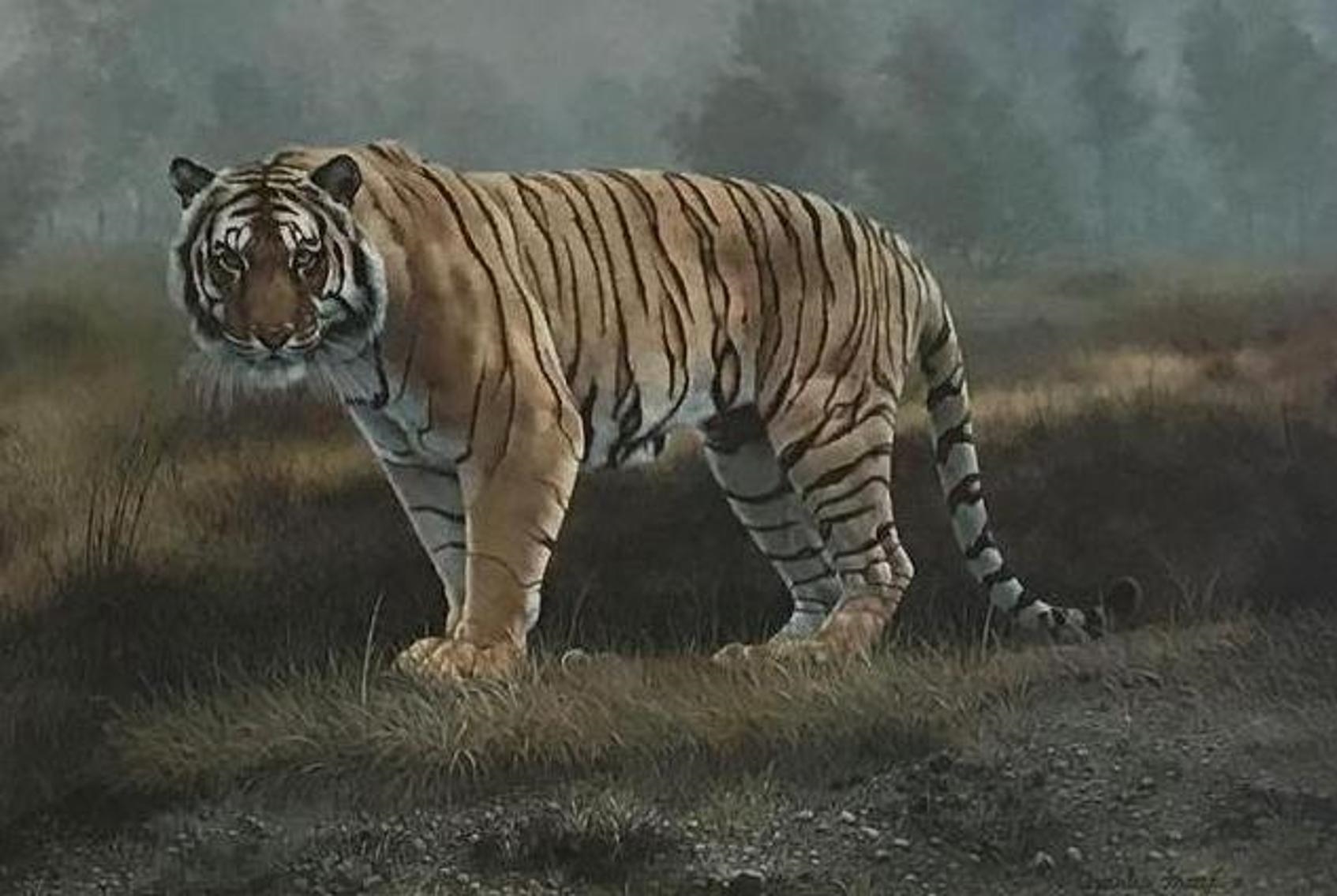 Charles Frace | Standing tiger | MutualArt